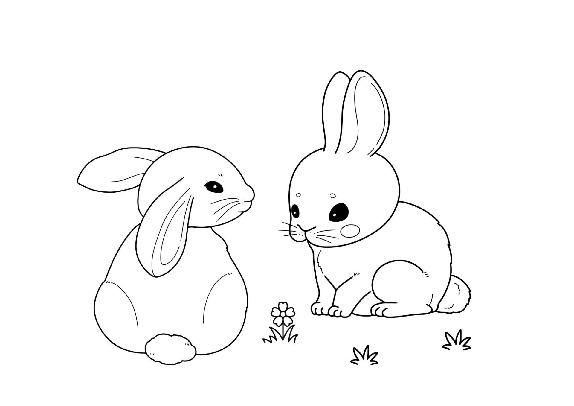 Tegninger af dyr | Print og farvelæg dit yndlings dyr her!