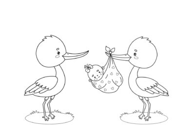 Tegninger af fugle til farvelægning | Kopitegning til print